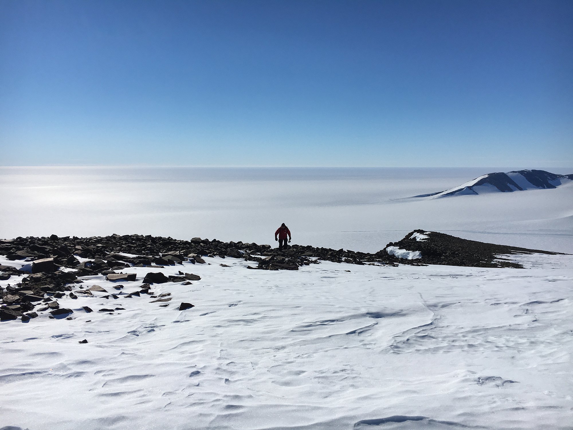 Antarctic springtail secrets | Canadian Geographic