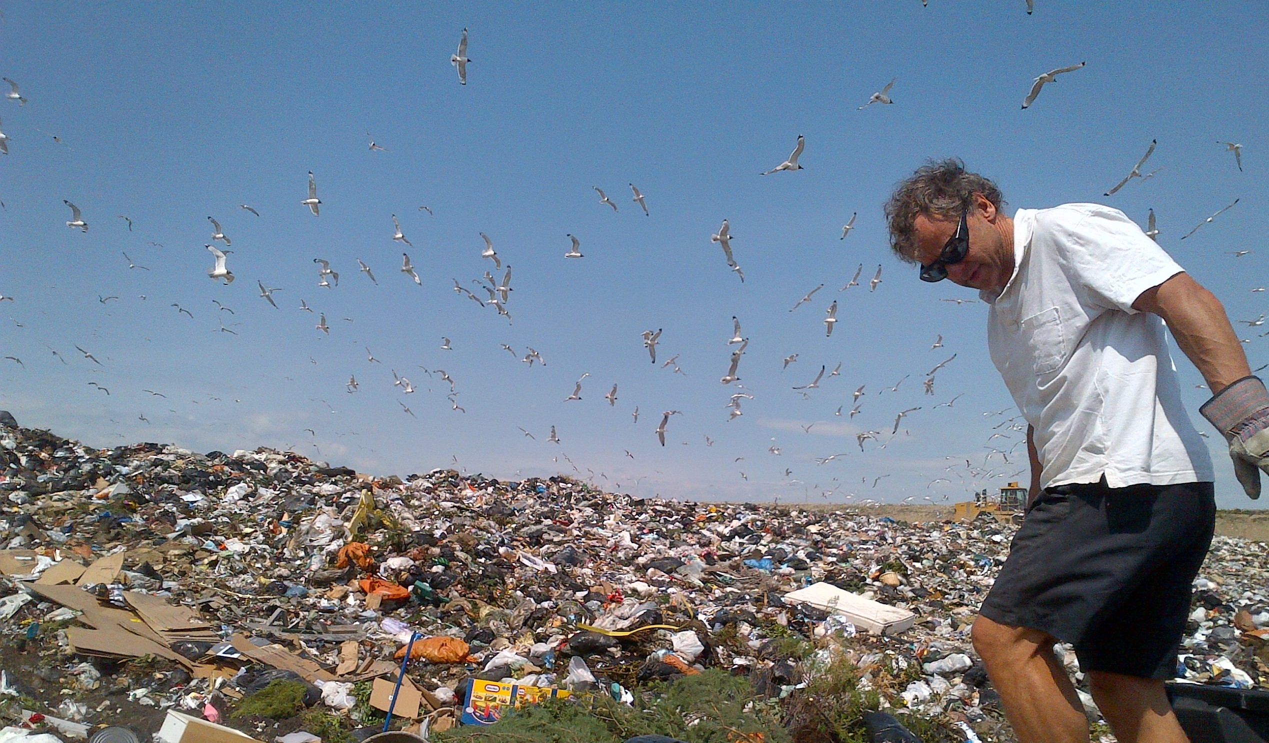 Canada’s sustainability progress held back by eco issues | Canadian ...