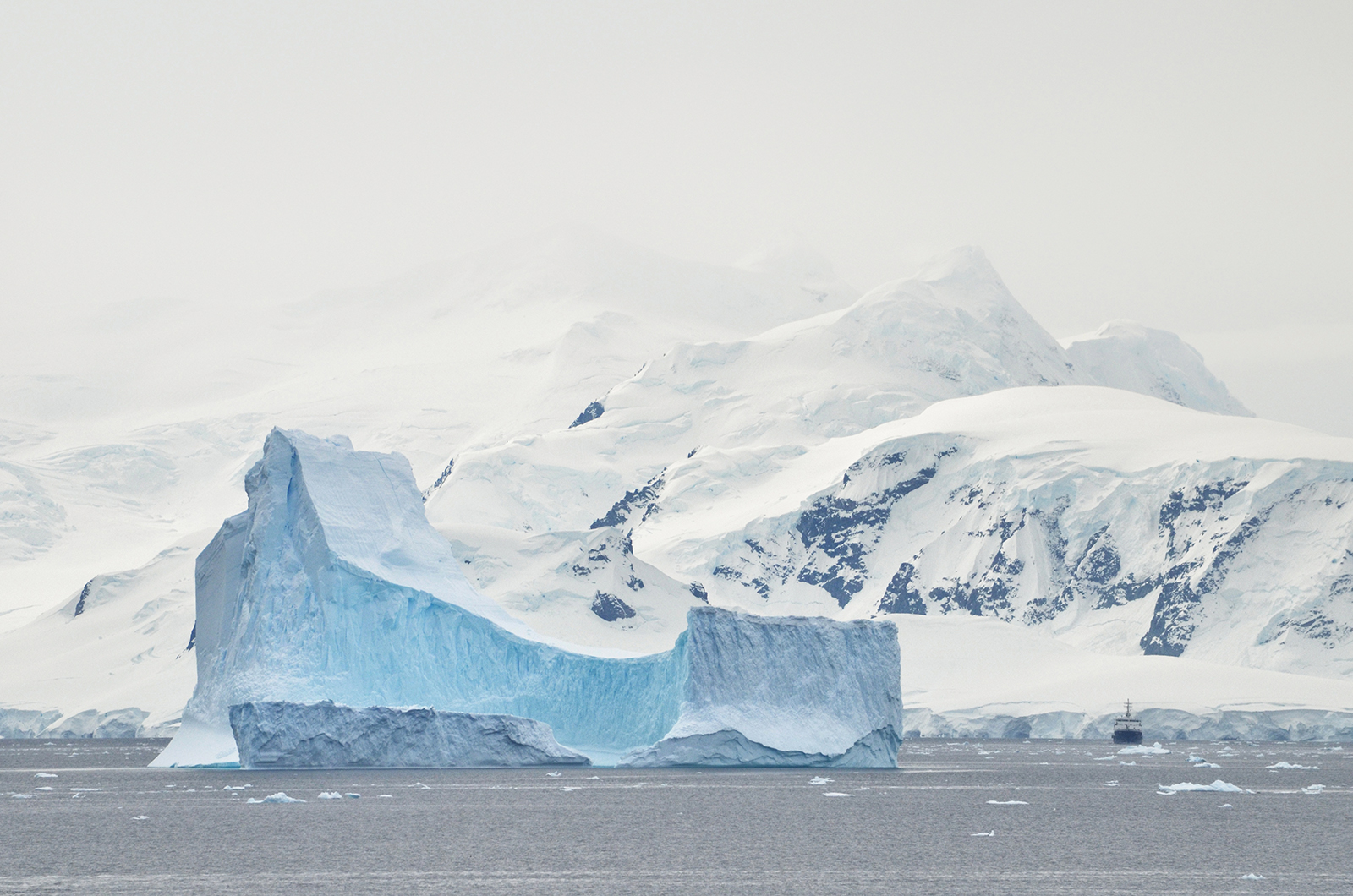 “There’s no coming back from this:” Why the global ocean crisis ...