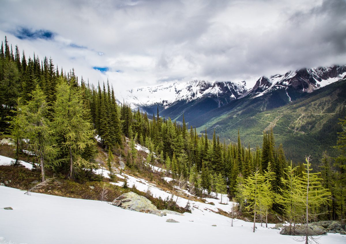 The Supreme Court sides with B.C.’s Jumbo ski resort. What does that ...