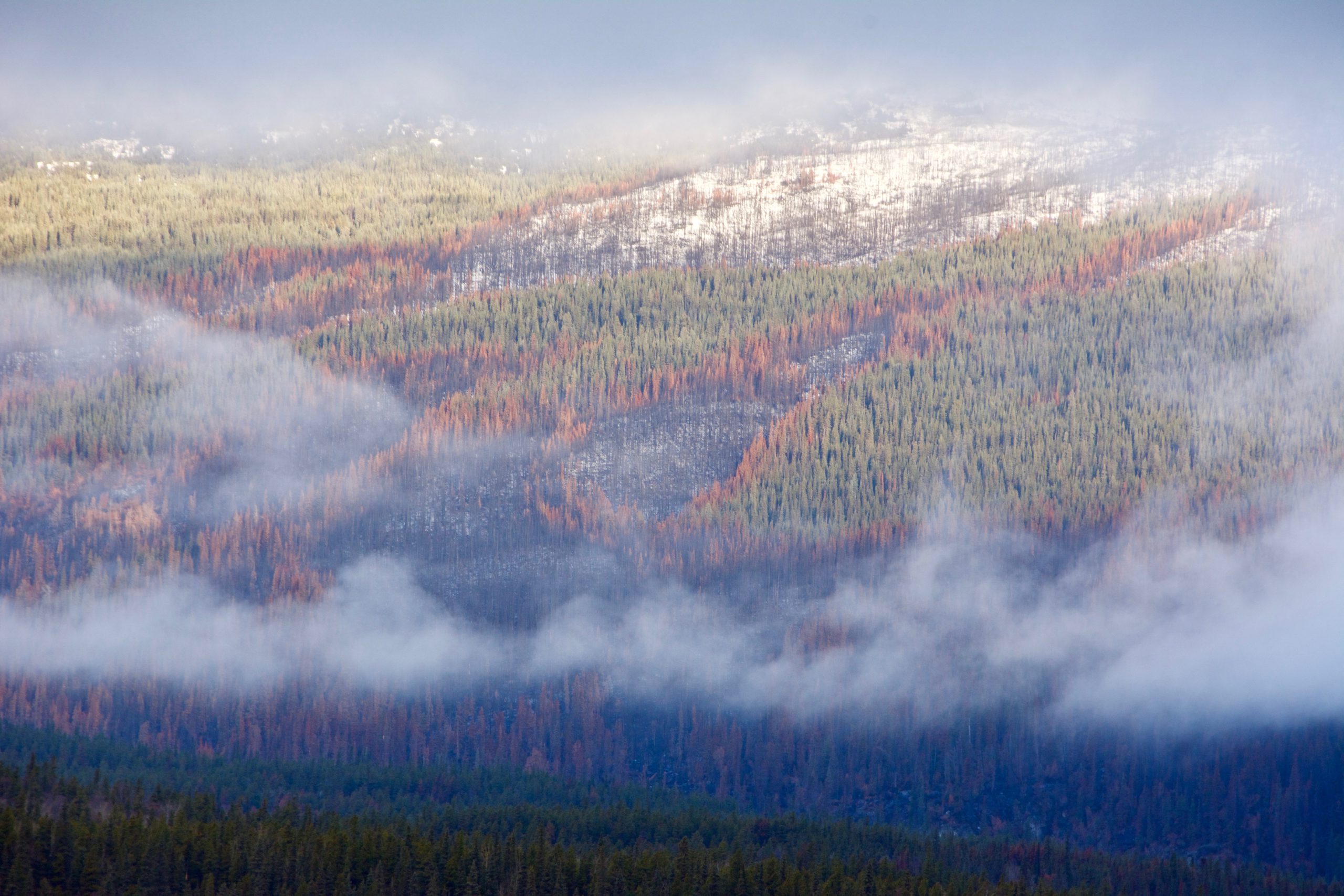 Fighting floods and fires while a pandemic rages on | Canadian Geographic