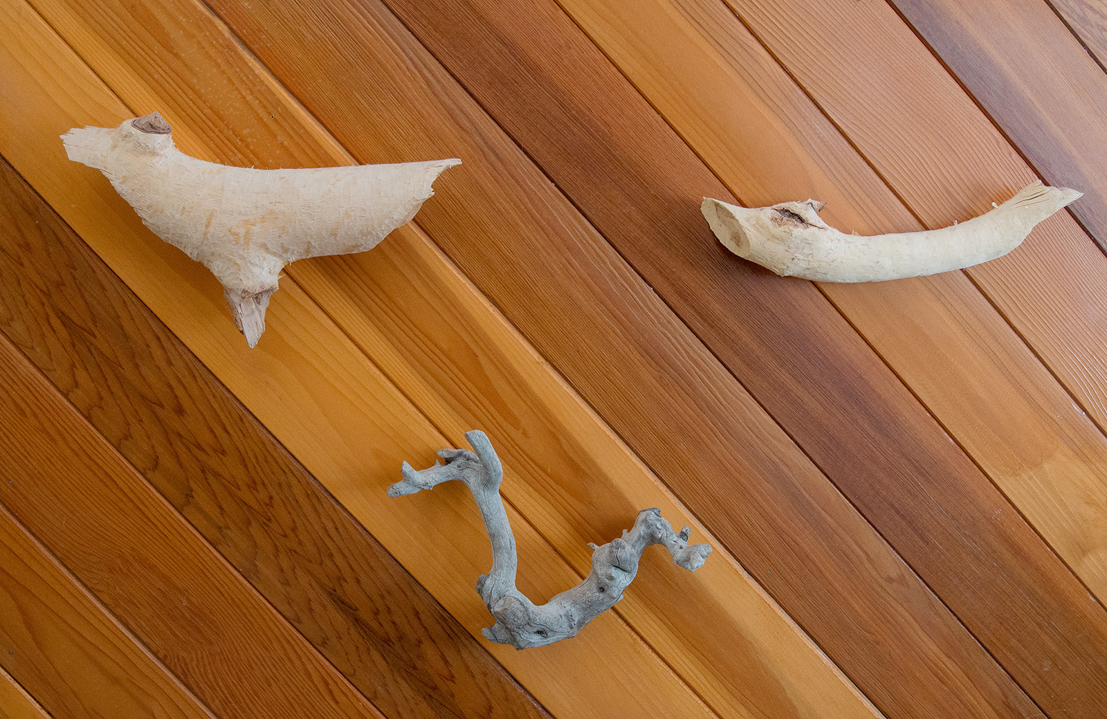 The strange, compelling artistry of “beaver sculptures” | Canadian ...