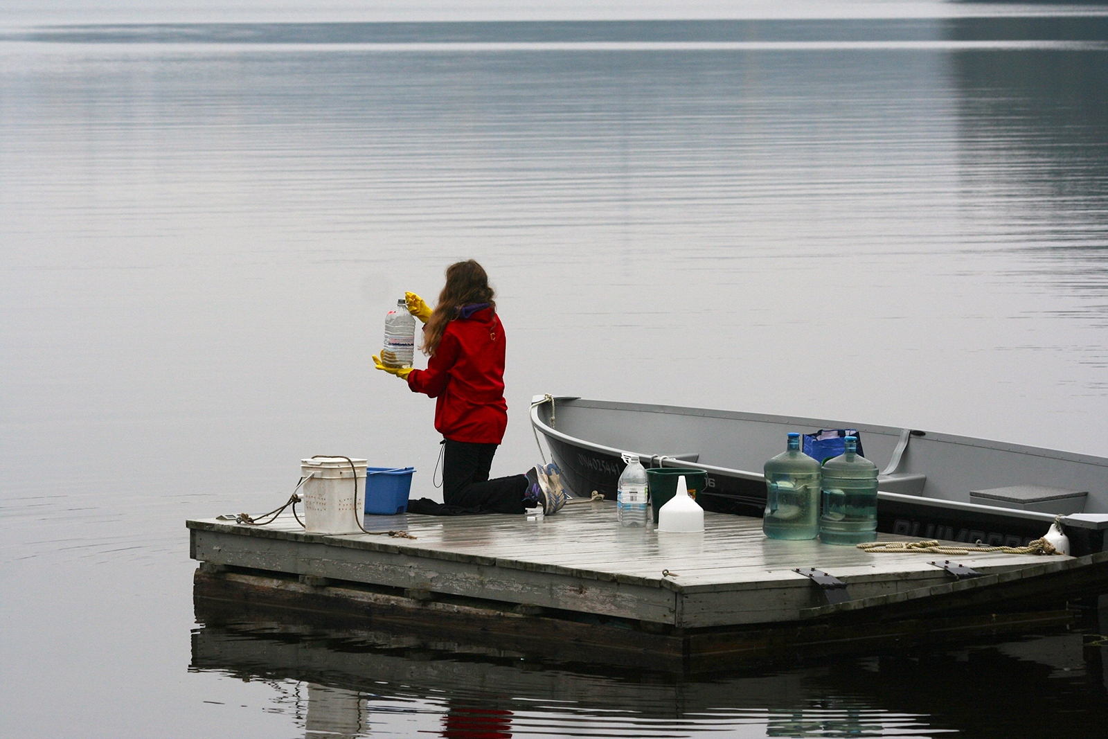 Returning calcium to lakes and oceans, one seashell at a time ...
