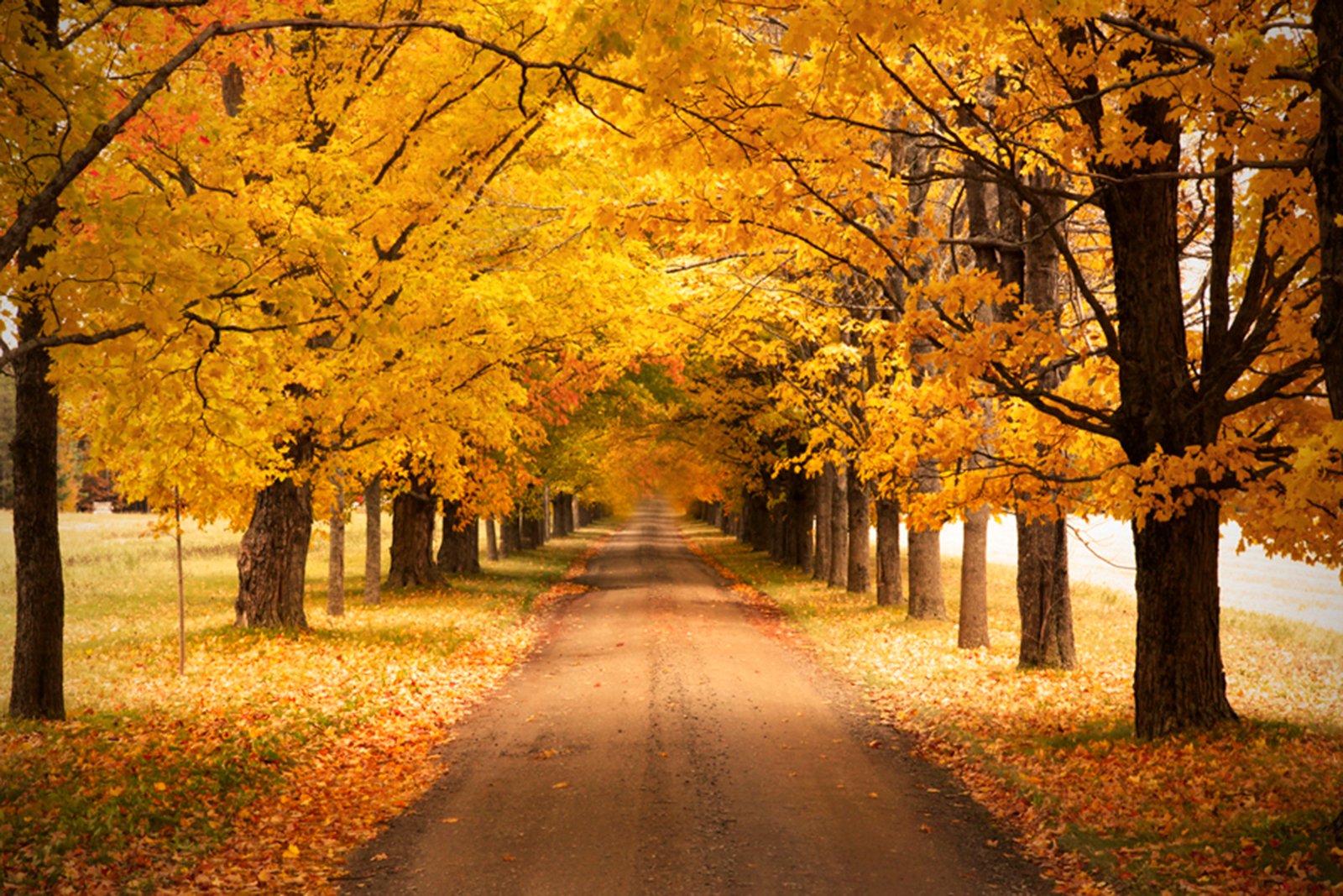 10 amazing photos of autumn in Canada from Can Geo’s Photo Club ...