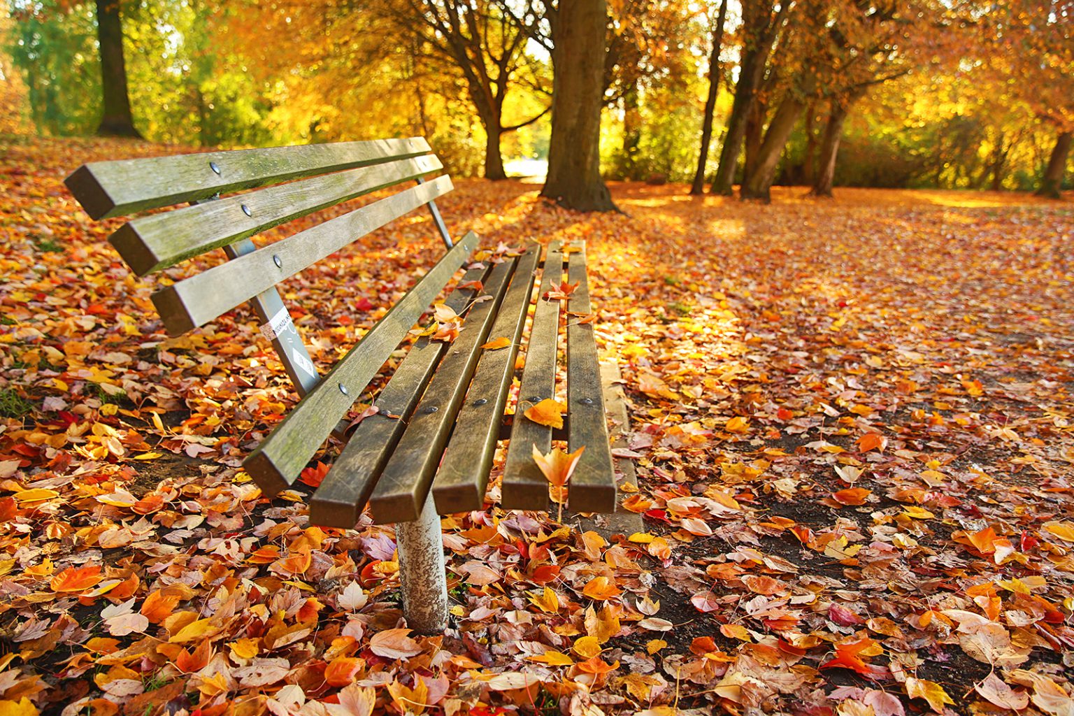 10 Amazing Photos Of Autumn In Canada From Can Geo s Photo Club 10 Amazing Photos Of Autumn In Canada From Can Geo s Photo Club