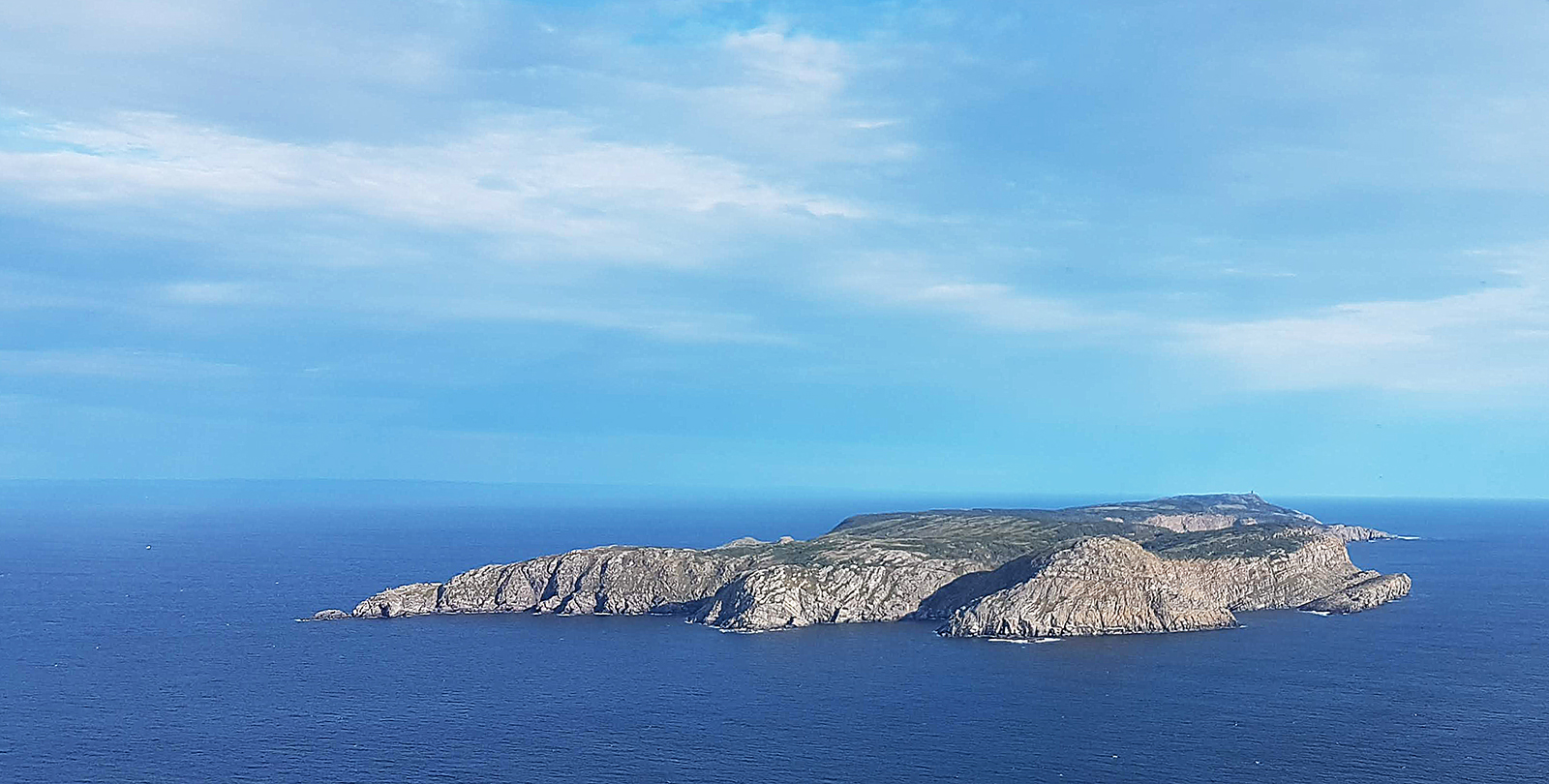 New research on Newfoundland seabirds is a window into thousands of ...