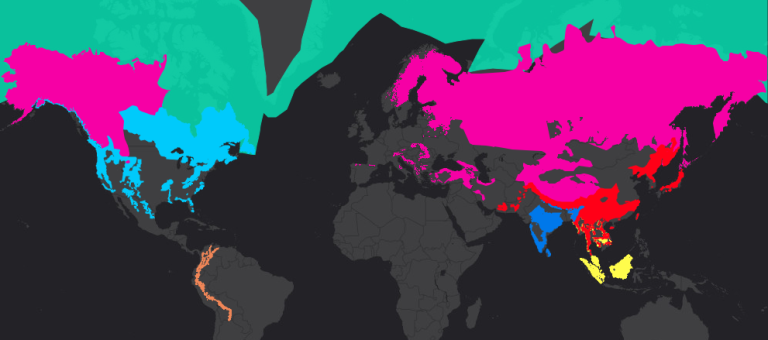 Mapping bear ranges around the world | Canadian Geographic