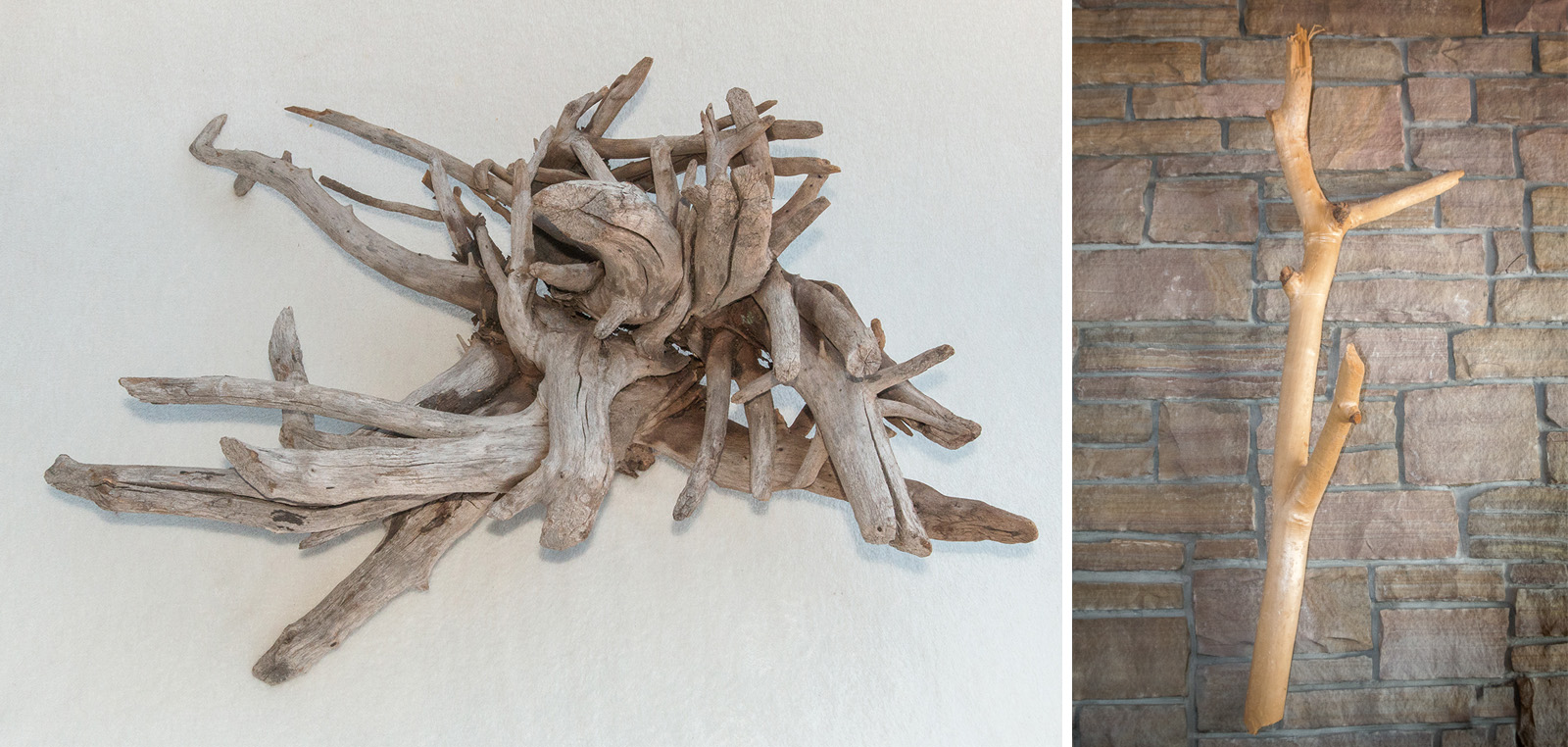 The strange, compelling artistry of “beaver sculptures” | Canadian ...