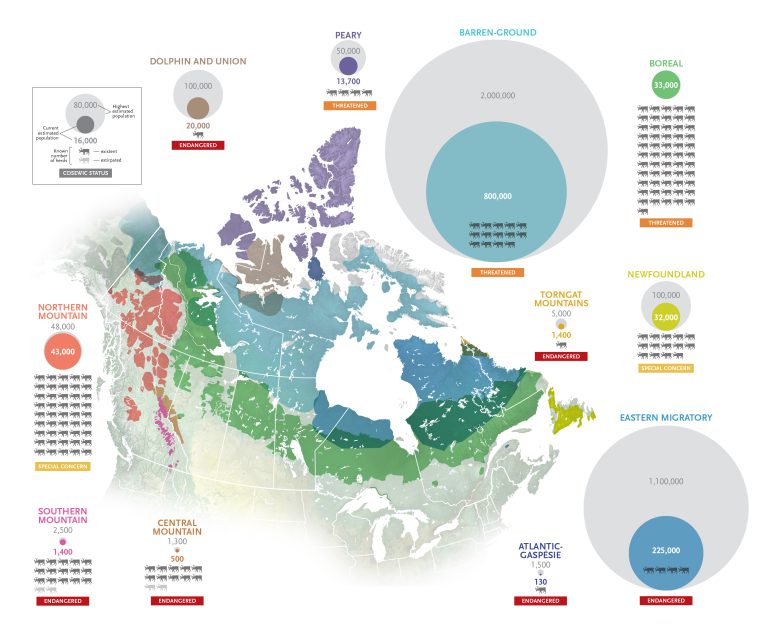Our best maps of 2018 | Canadian Geographic