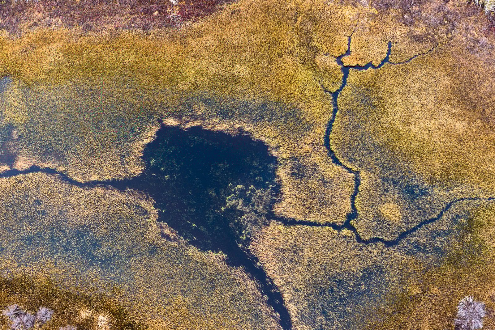 What’s at stake in Ontario’s Ring of Fire | Canadian Geographic