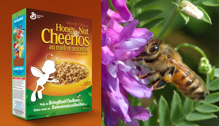 Honey Nut Cheerios removes mascot from boxes to raise awareness about ...