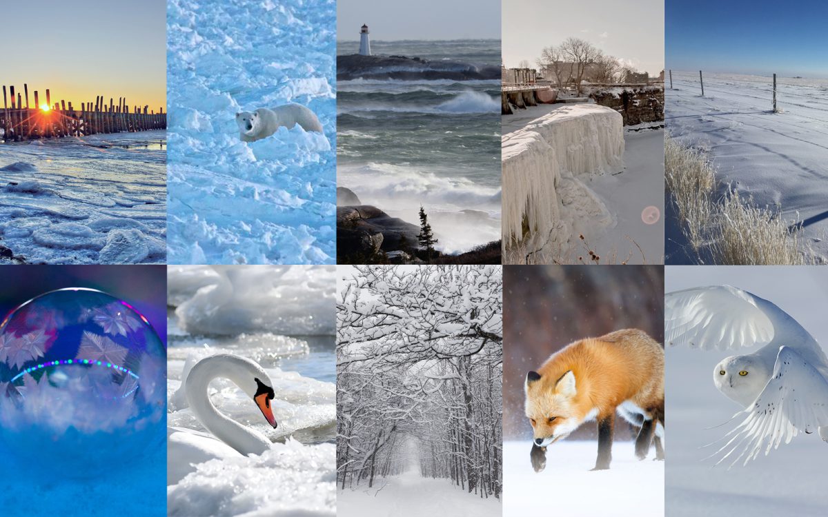 Cold calling: 10 wonderfully wintry images from Can Geo’s Photo Club ...