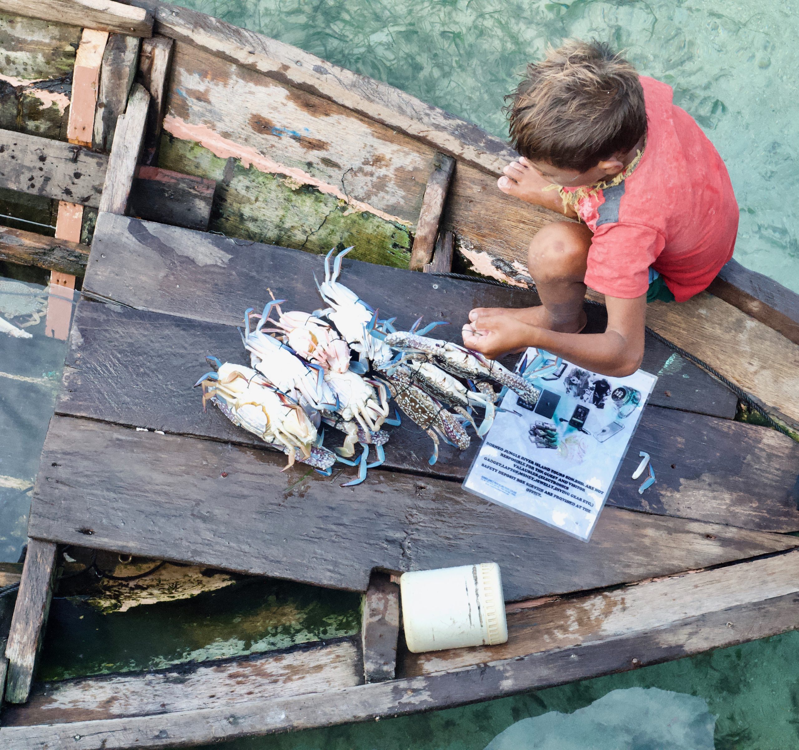 Reclaiming our relationship with wild foods | Canadian Geographic