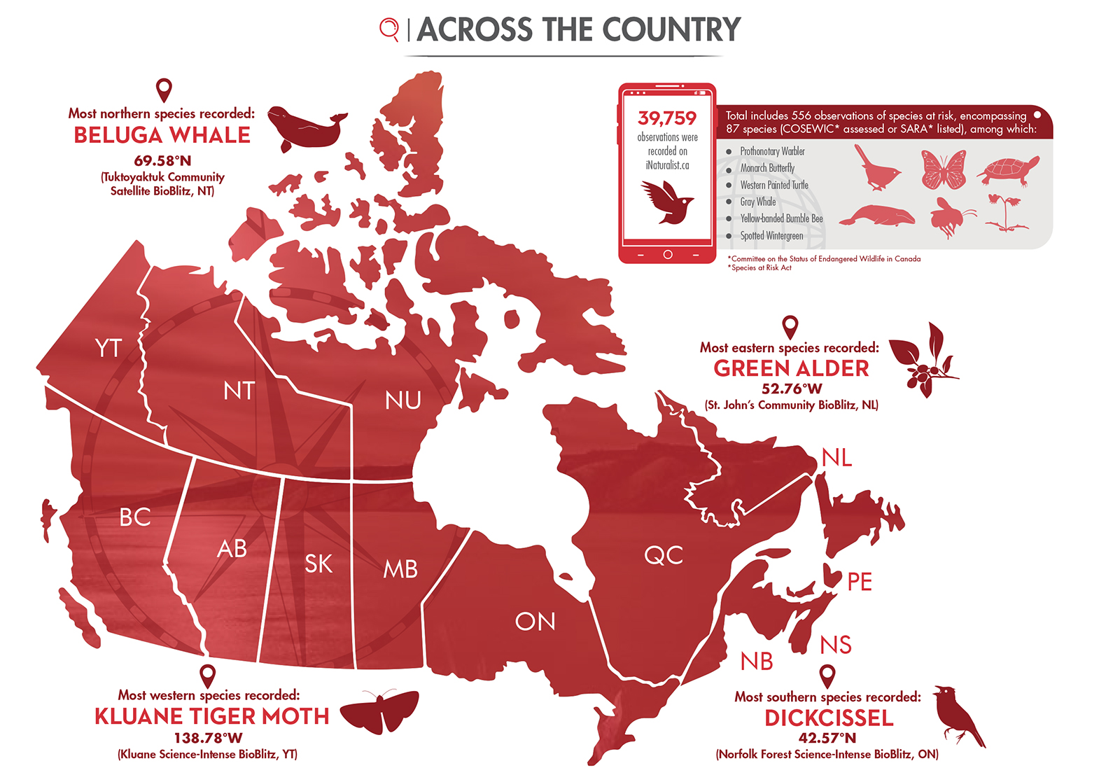 10 interesting discoveries from BioBlitz Canada 150 | Canadian Geographic