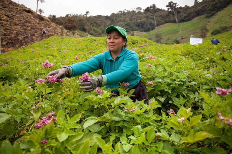 A decade of improving food security around the world | Canadian Geographic