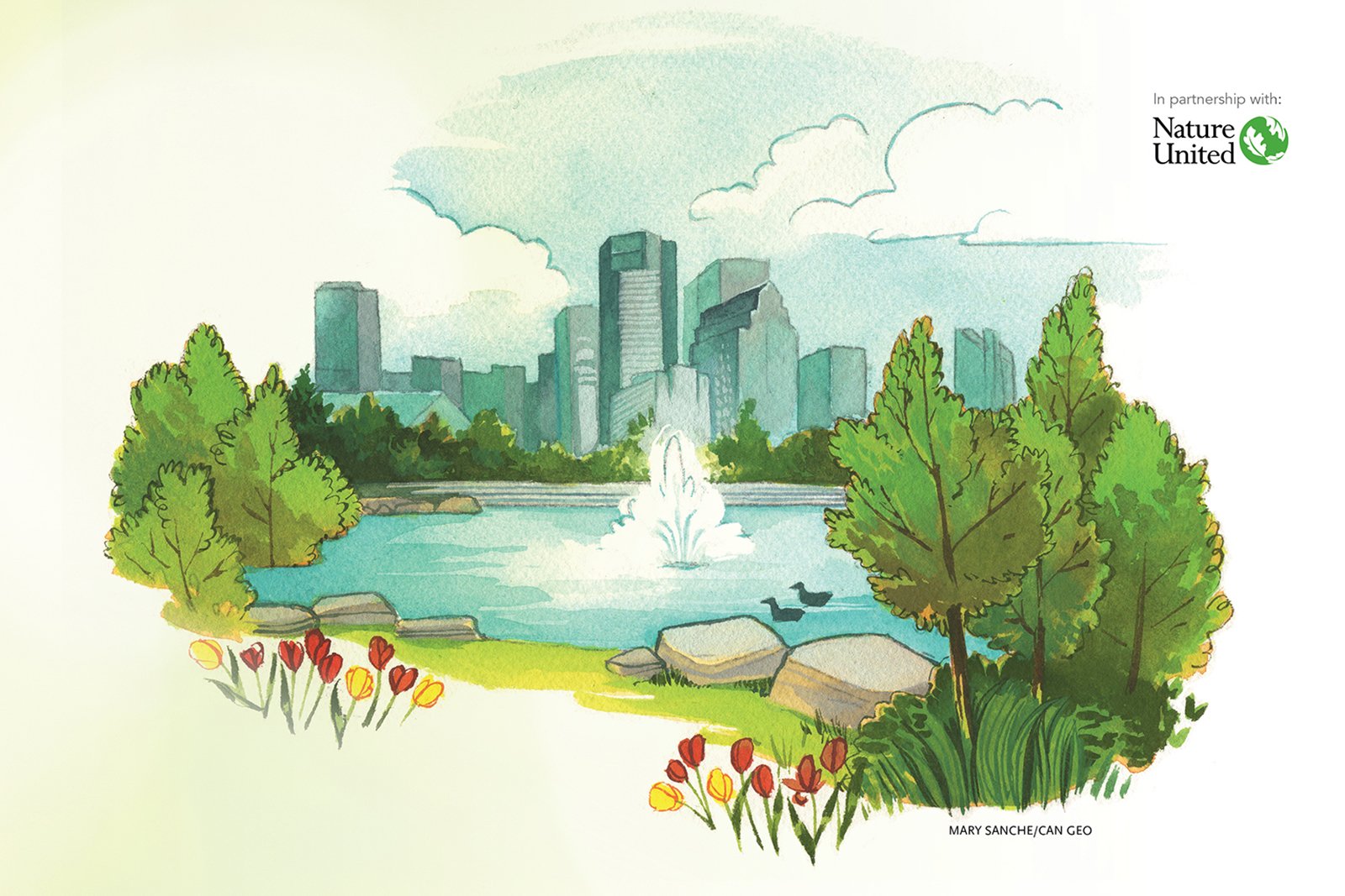 Harnessing the power of nature to fight climate change | Canadian ...