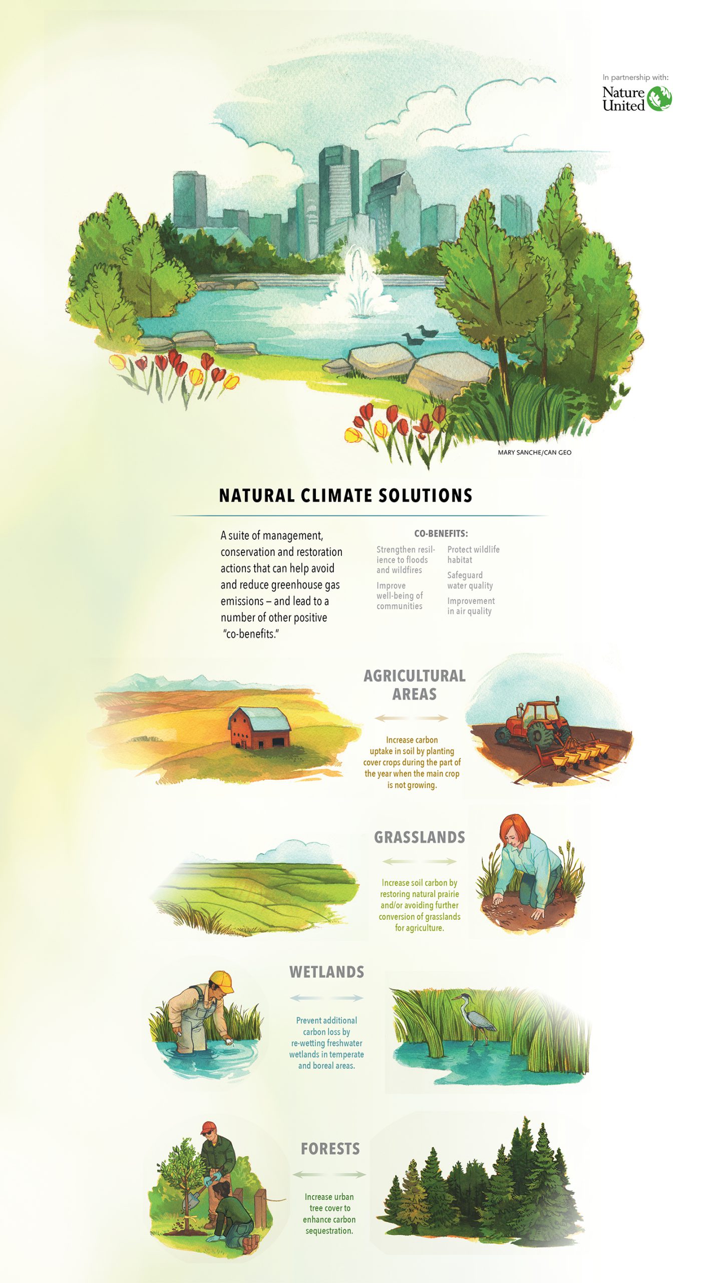 Harnessing the power of nature to fight climate change | Canadian ...