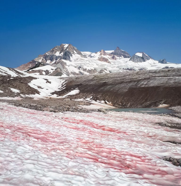 22 facts and figures from the Alpine Club of Canada’s 2019 State of the ...