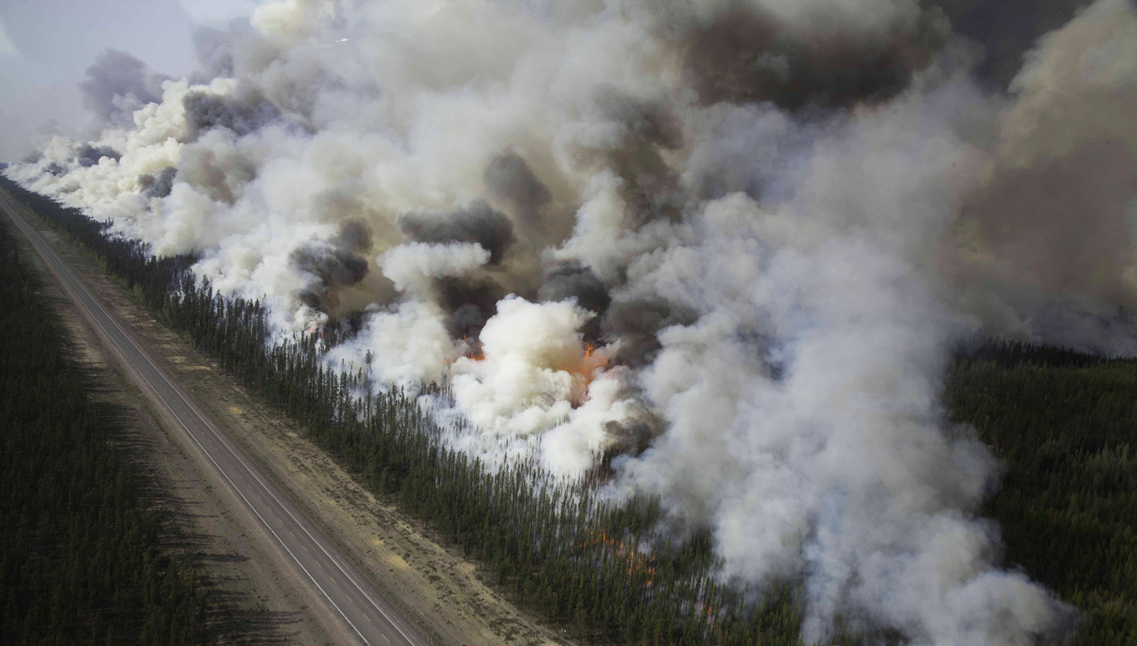 Investigating the landscape legacies of northern wildfires | Canadian ...