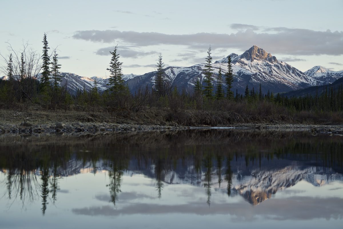 Muskwa-Kechika: An opportunity for bold conservation action | Canadian ...