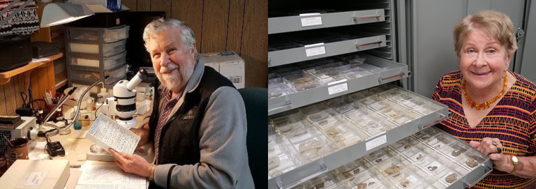 Bug news! World-renowned Canadian entomologists fund Canadian Museum of ...