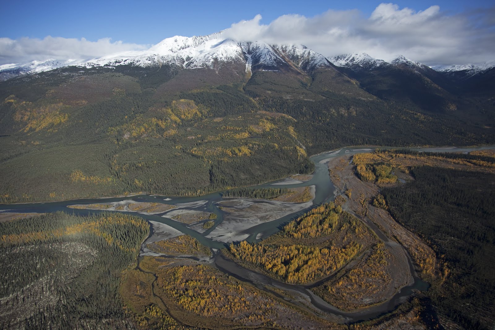 New framework identifies climate change “refugia” in boreal forest | Canadian Geographic