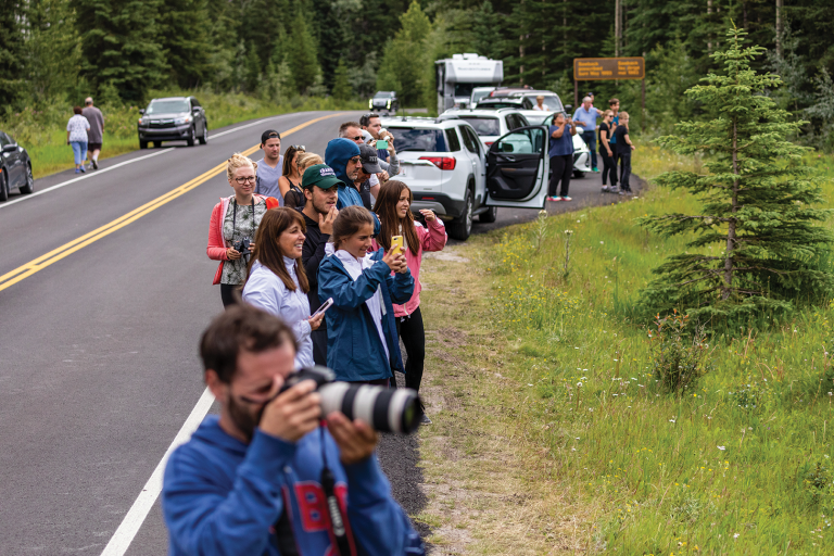 Smother Nature: The struggle to protect Banff National Park | Canadian ...