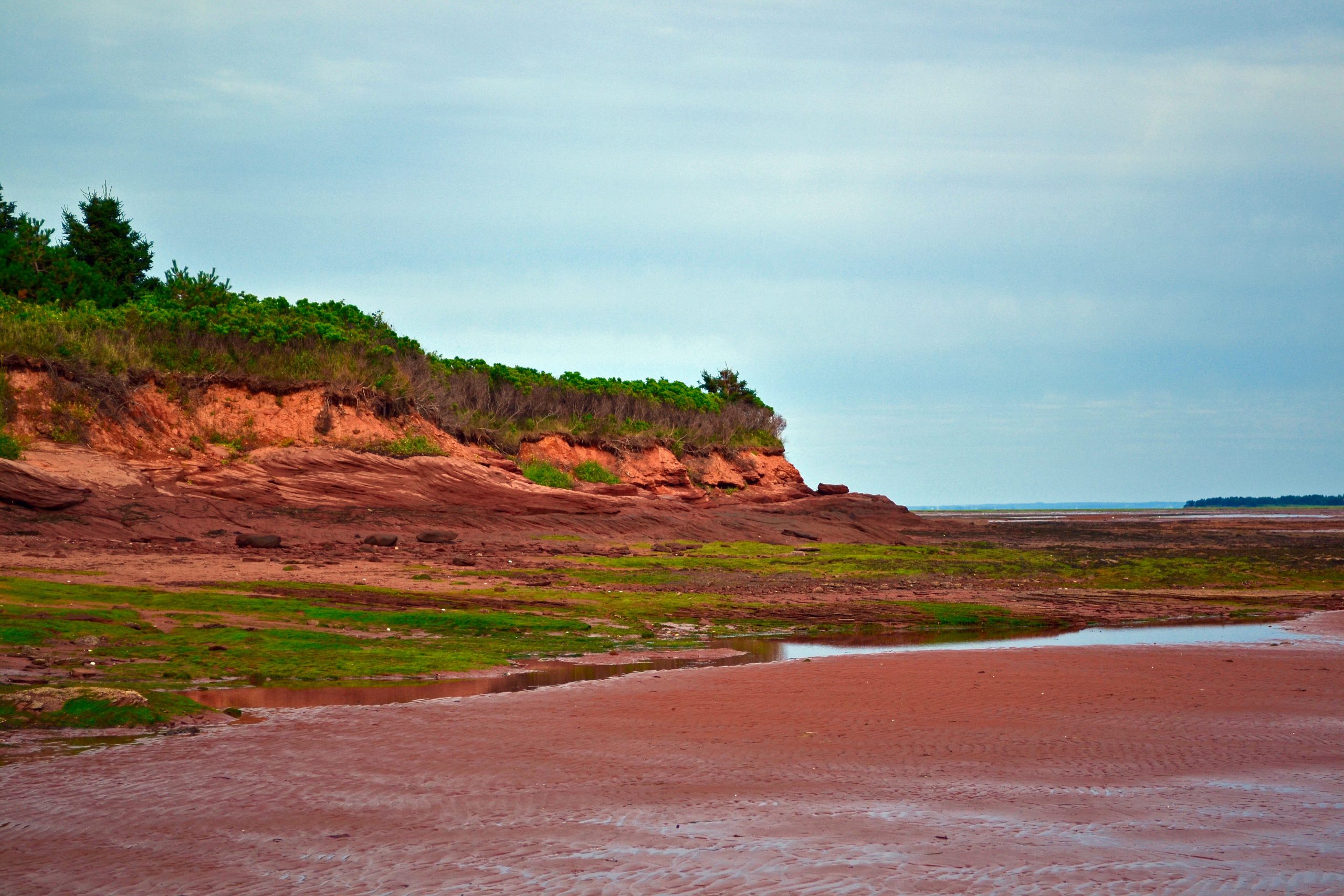 Can PEI reach their 7 per cent protected land goal by the end of the ...