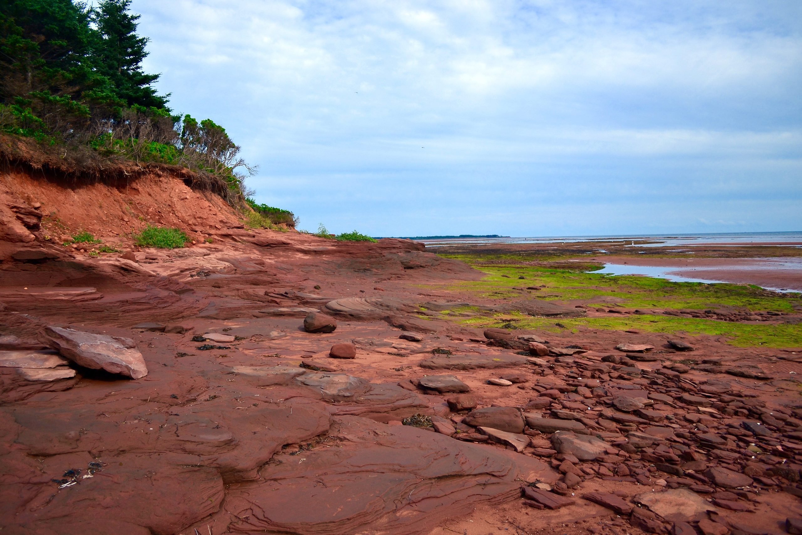 Can PEI reach their 7 per cent protected land goal by the end of the ...