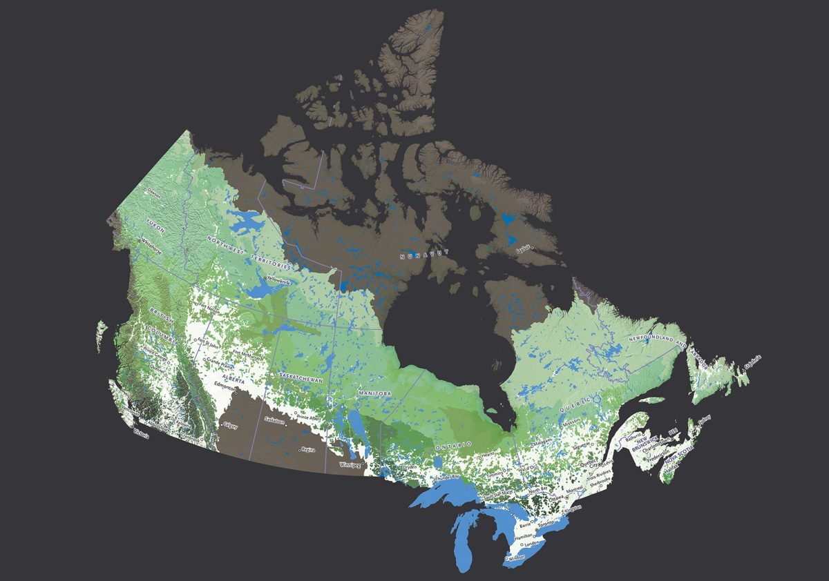 Mapping Canada’s intact forests | Canadian Geographic