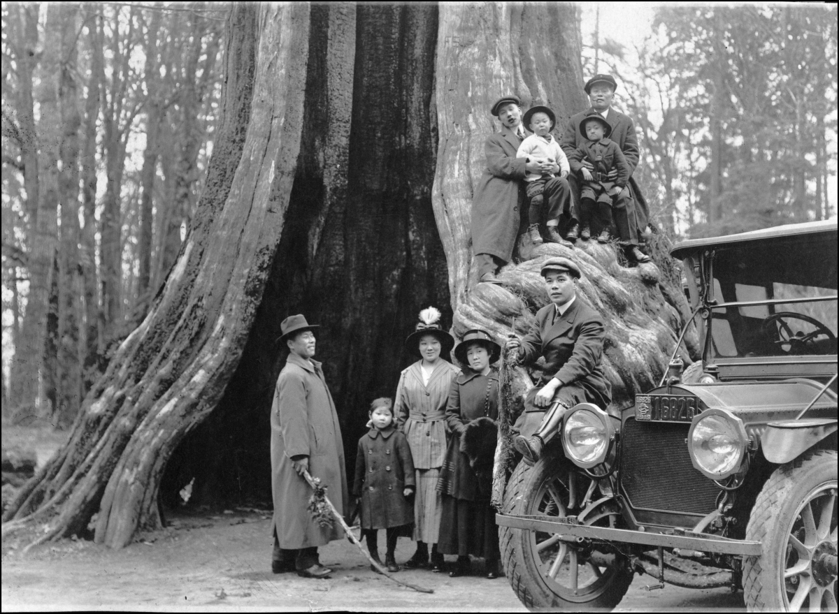 50 years of multiculturalism: Where lived experiences make history ...