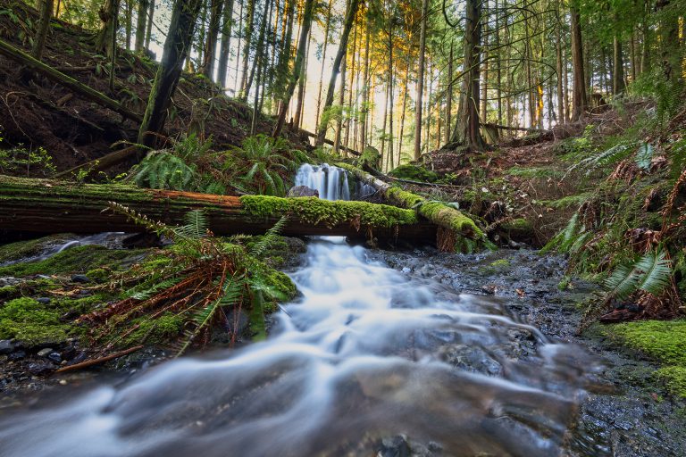 10 Canadian photographers whose work we’re loving right now | Canadian ...