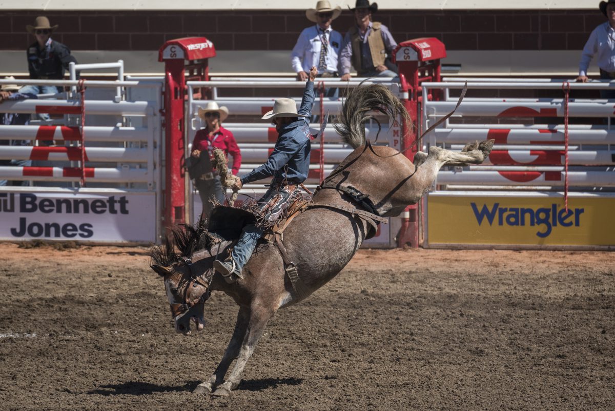 Photos: The Calgary Stampede celebrates 105 years | Canadian Geographic