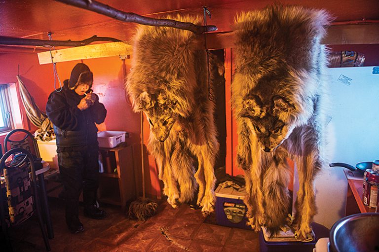 Traditional trapping in the North | Canadian Geographic
