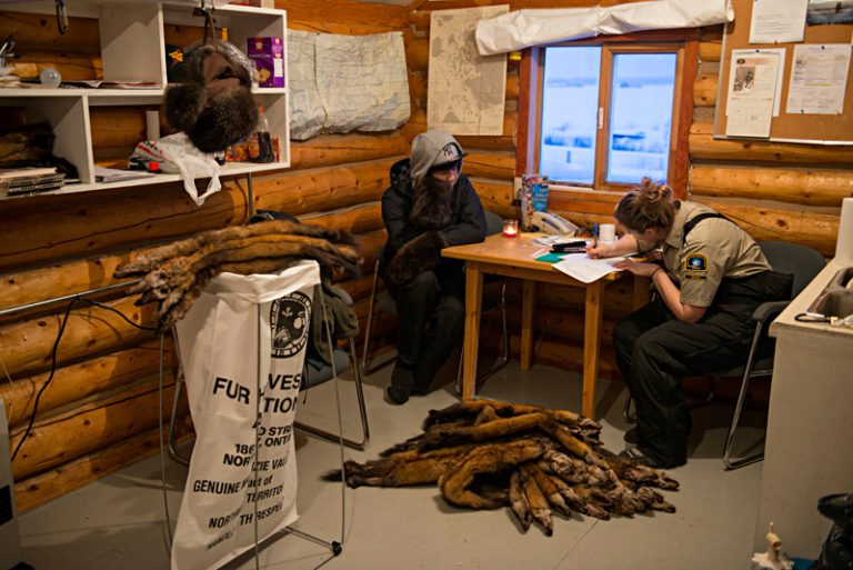Traditional trapping in the North | Canadian Geographic