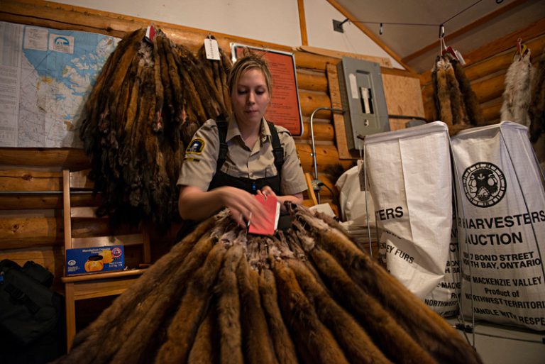 Traditional trapping in the North | Canadian Geographic