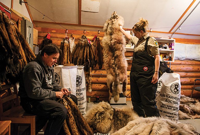 Traditional trapping in the North | Canadian Geographic