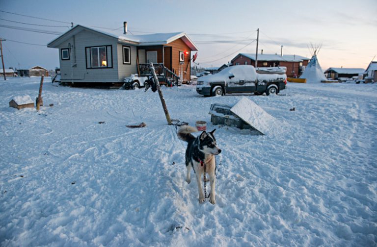 Traditional trapping in the North | Canadian Geographic