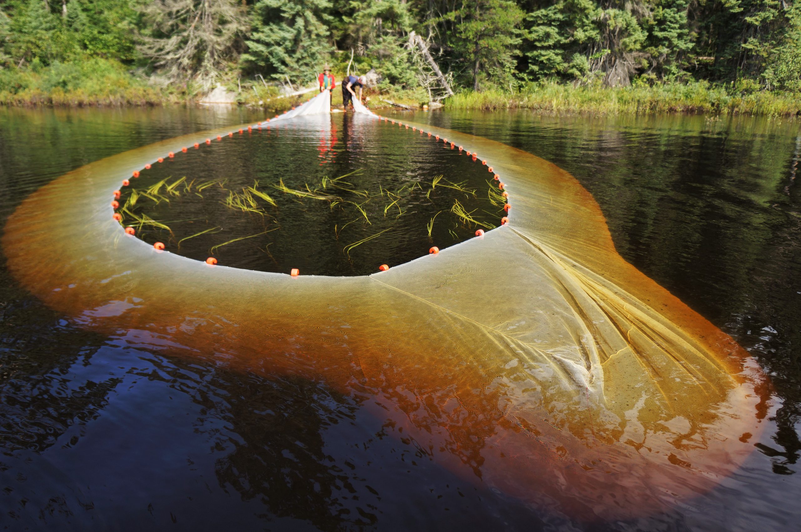When a lake is better than a lab | Canadian Geographic