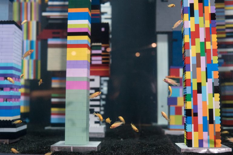 Douglas Coupland on the dark side of plastic | Canadian Geographic