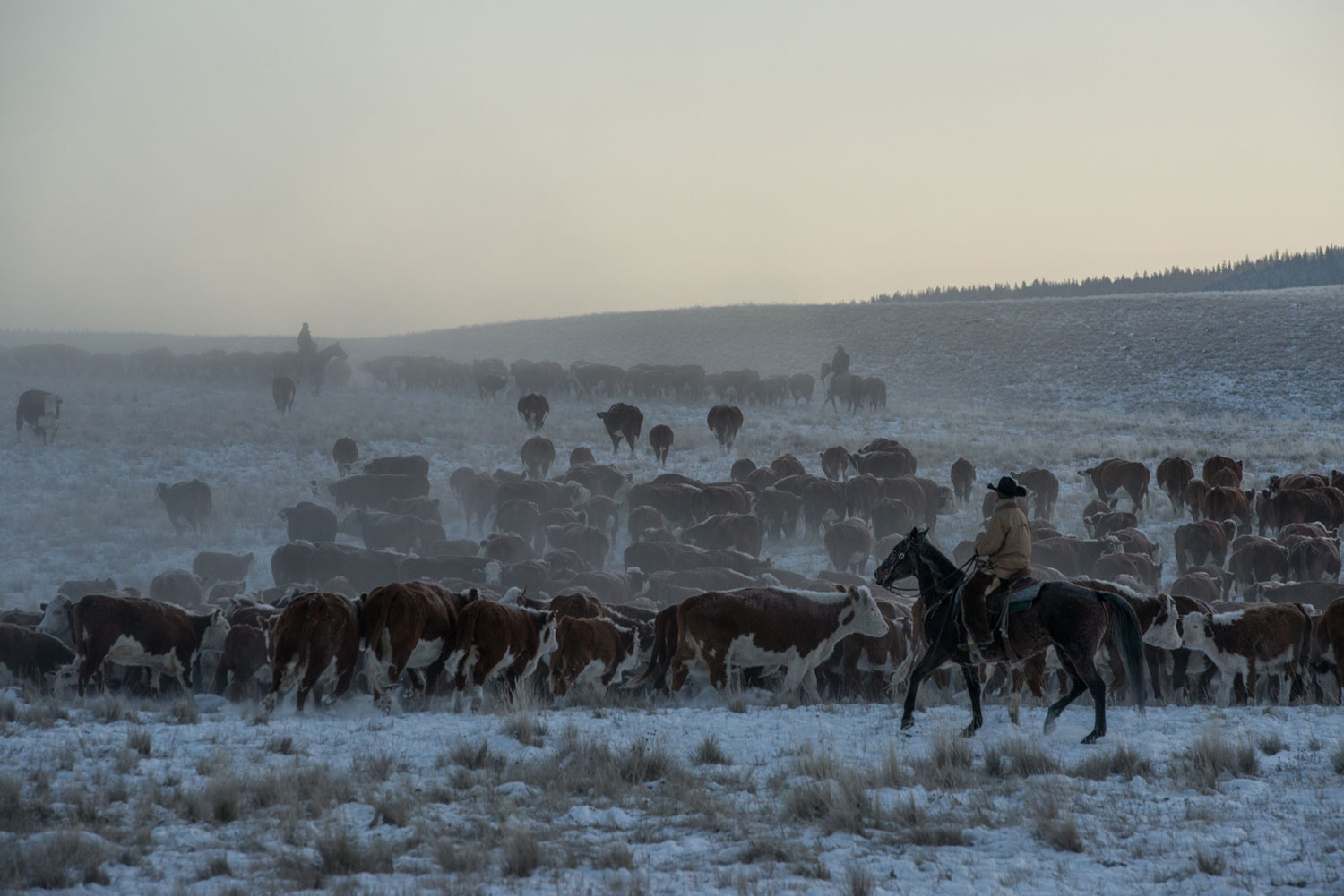 Photos: Cowboys of the Americas | Canadian Geographic