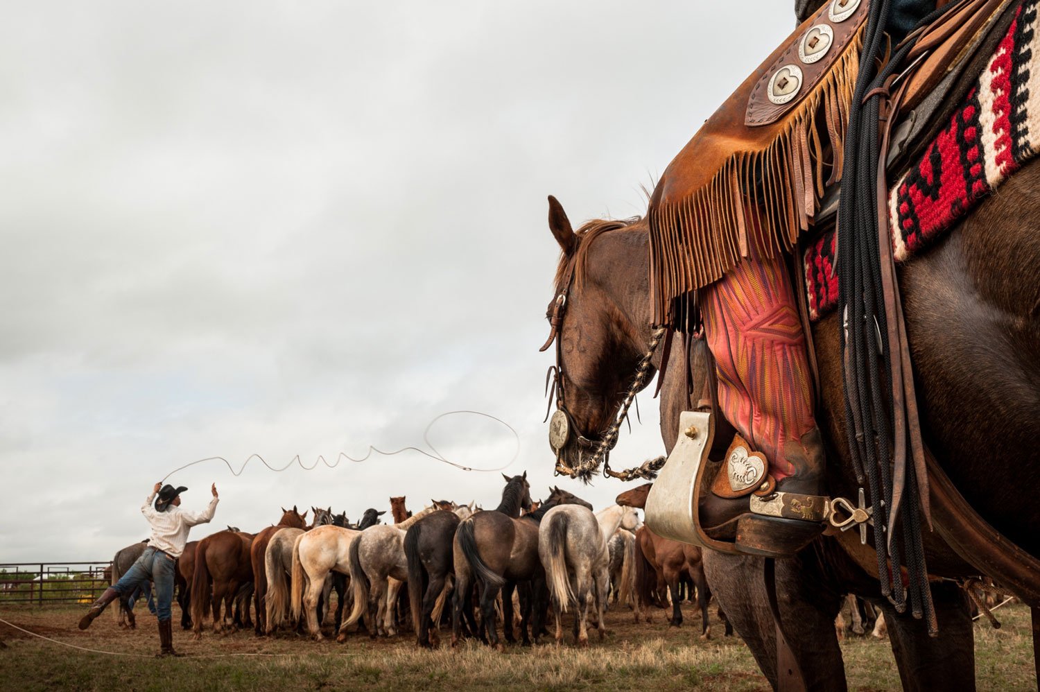 Photos: Cowboys of the Americas | Canadian Geographic