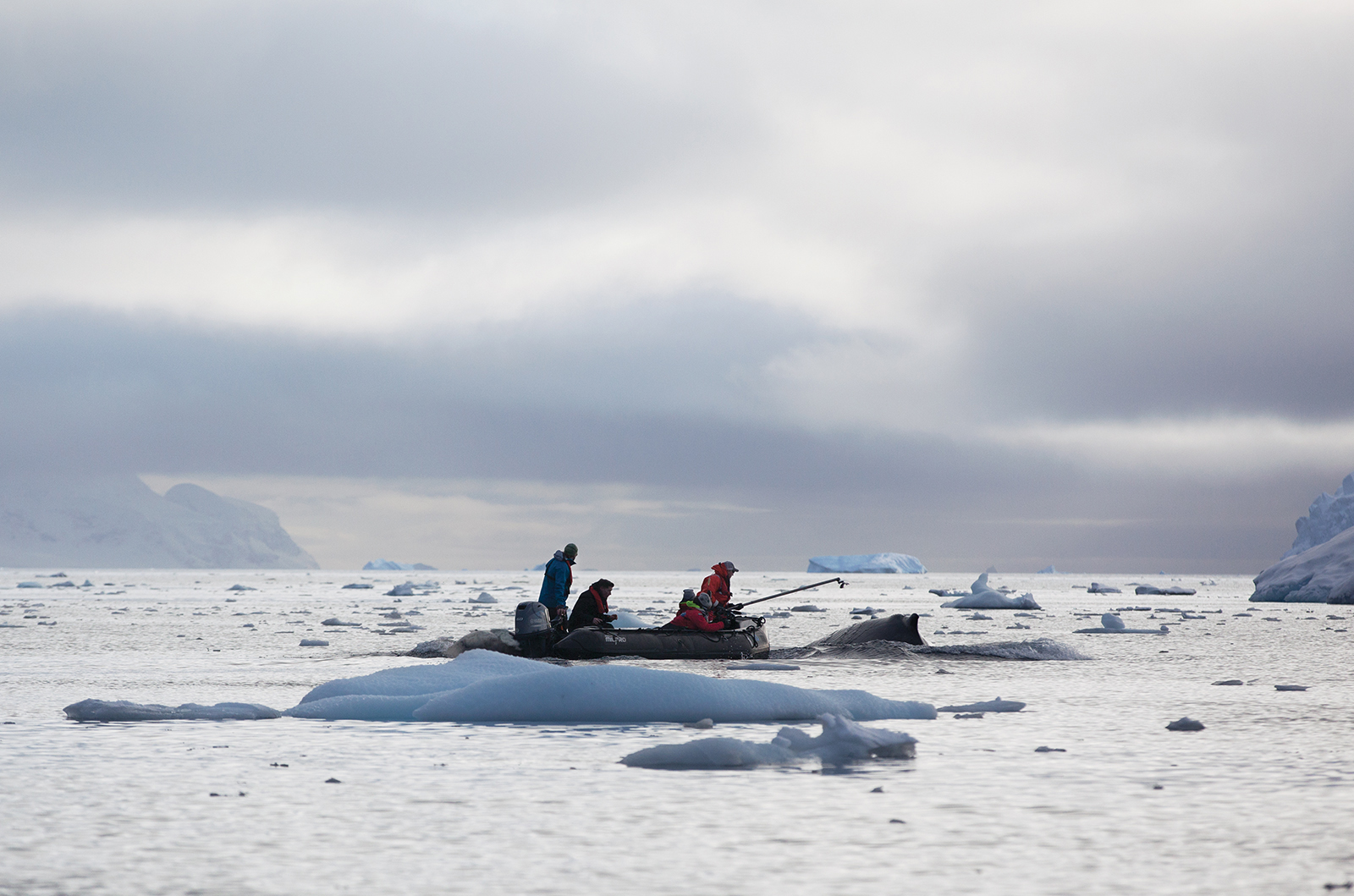 “There’s no coming back from this:” Why the global ocean crisis ...