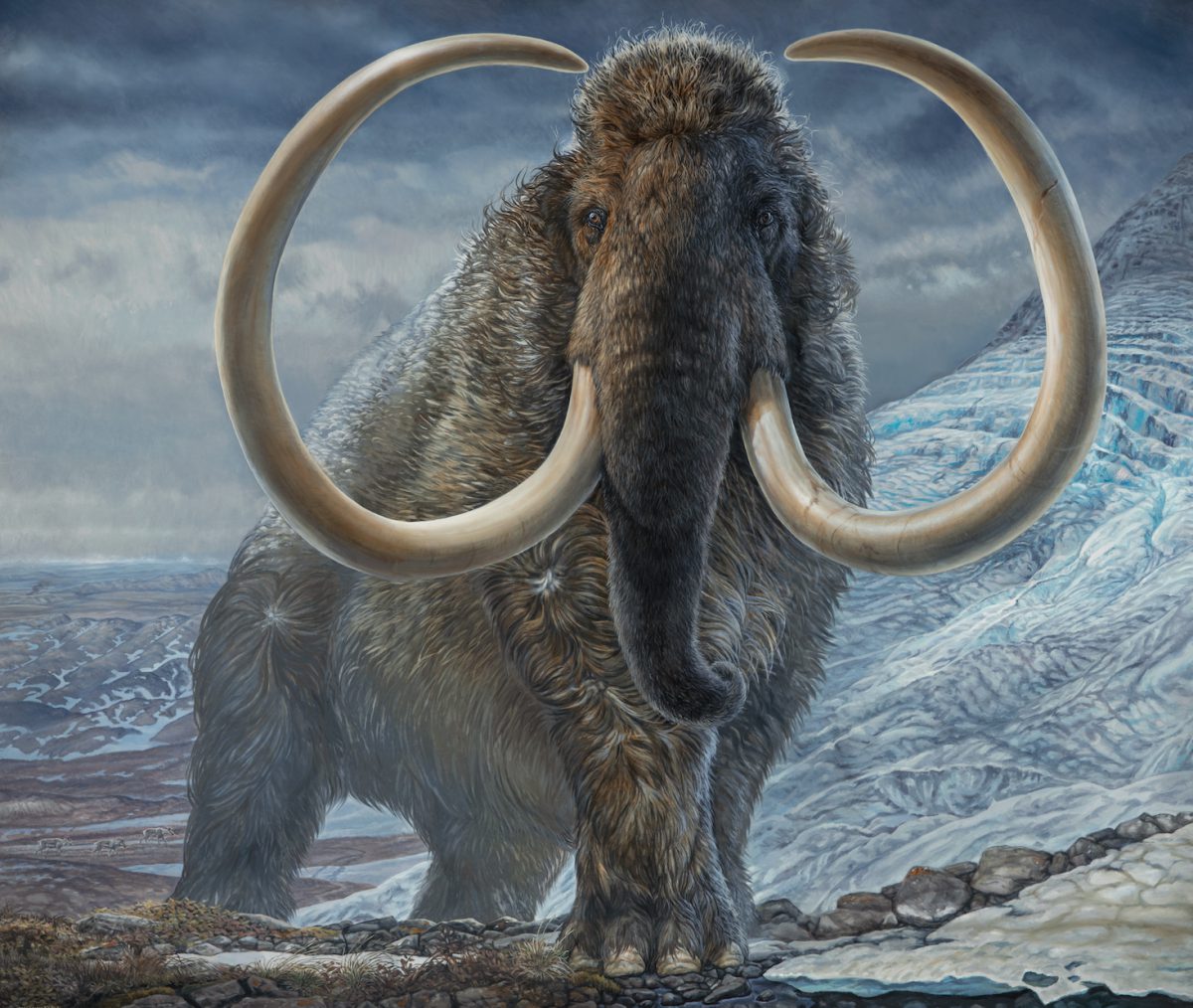 A mammoth journey: how scientists traced a mammoth’s migration ...