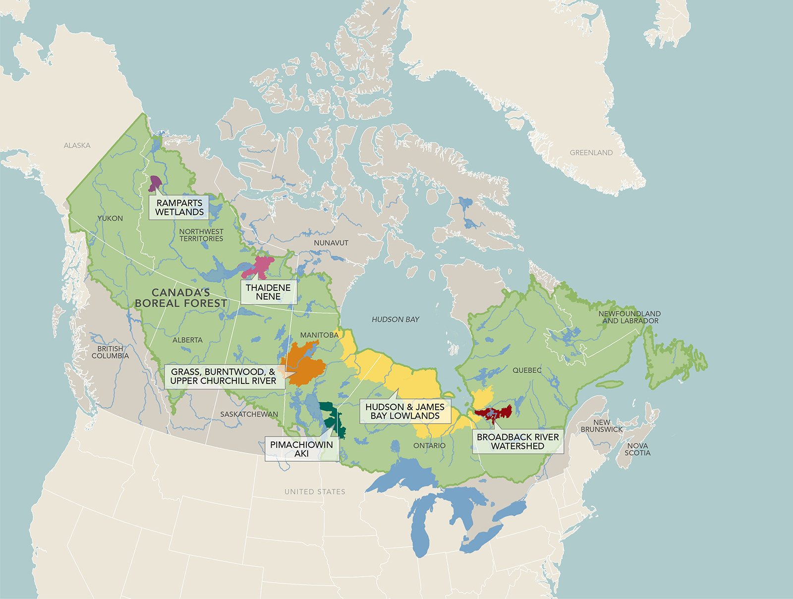 Canada’s boreal wetlands are key to fighting climate change: report | Canadian Geographic