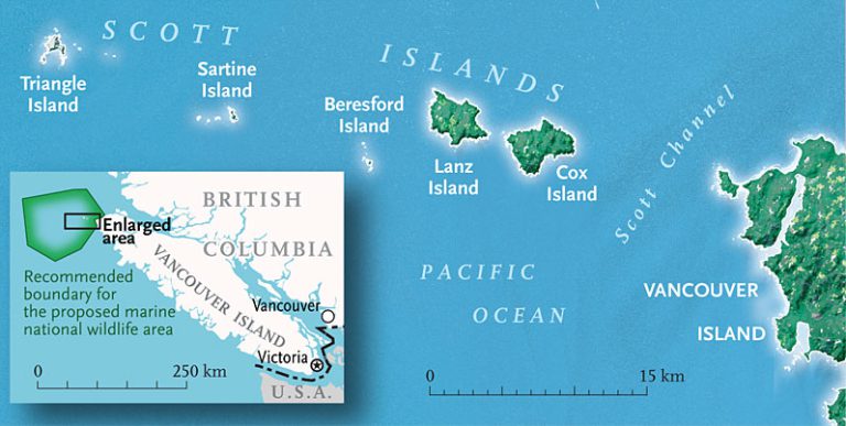 Birds of the Scott Islands | Canadian Geographic