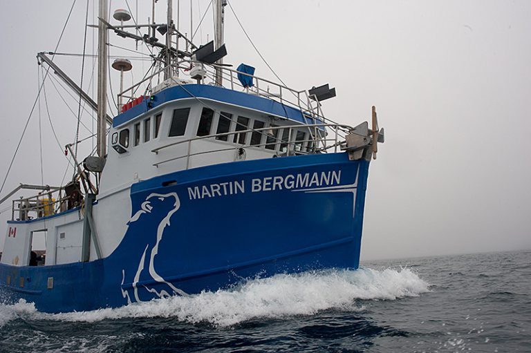 Franklin search vessel Martin Bergmann hits shoal | Canadian Geographic
