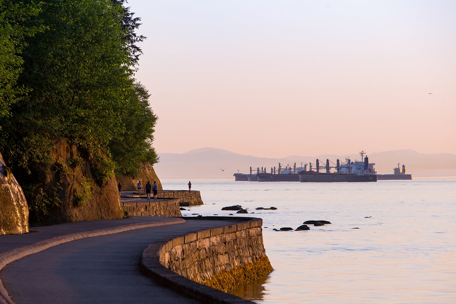 The fate of the Fraser River delta | Canadian Geographic