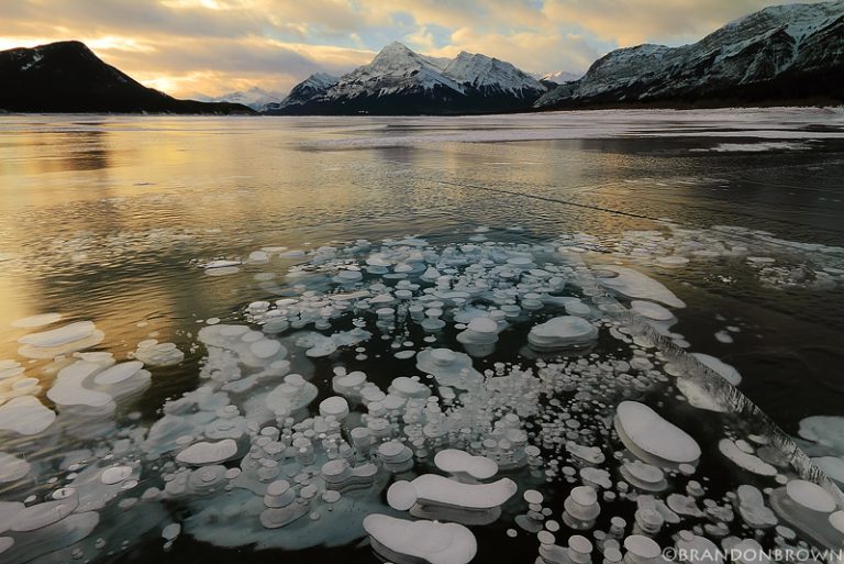 Intriguing photos of an Alberta lake’s famous bubbles | Canadian Geographic