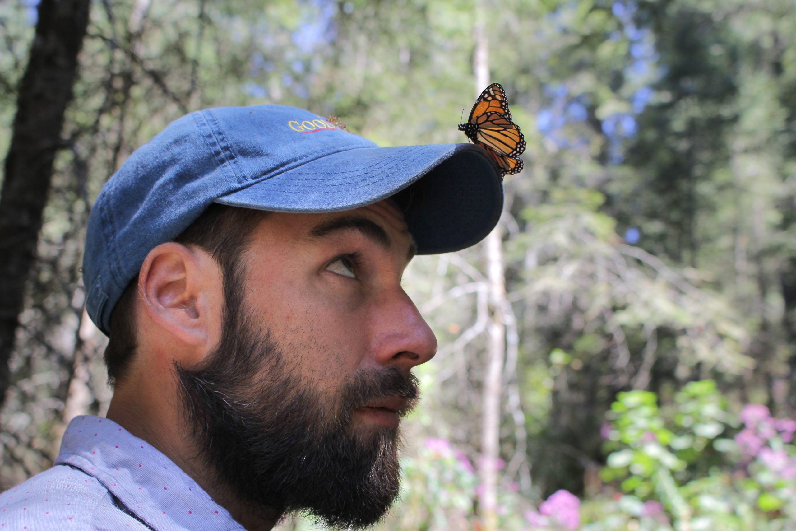 Chasing butterflies | Canadian Geographic